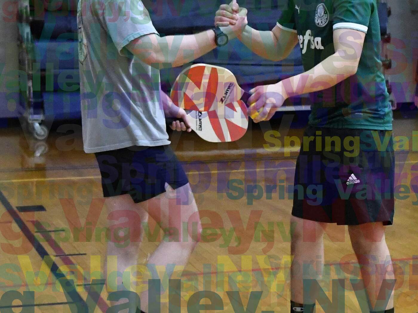 Pickleball in Spring Valley Nevada | PickleballSpringValley.com